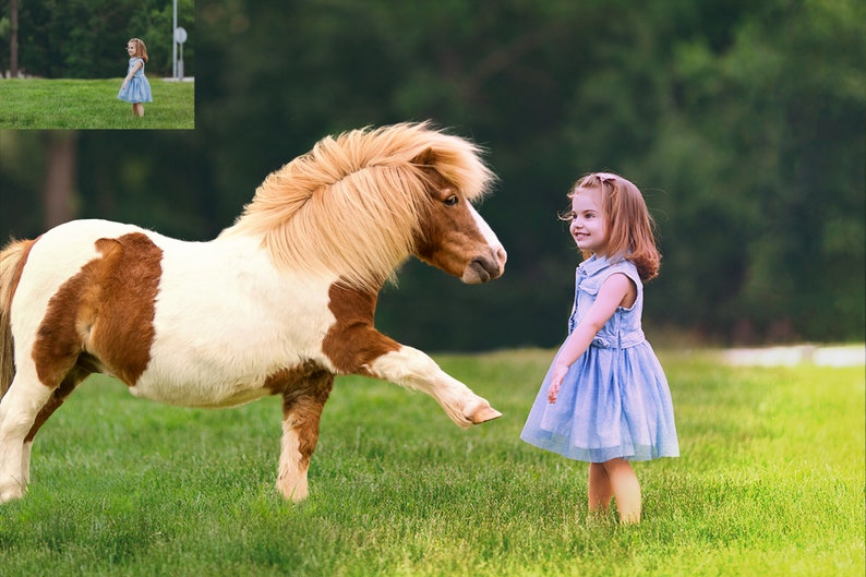 31 Pony Photo Overlays, Photoshop Overlay, Digital Overlay, Forest ...