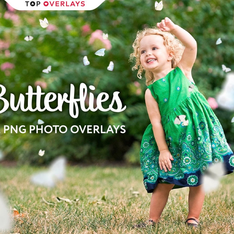 Butterfly Clip Art - Etsy