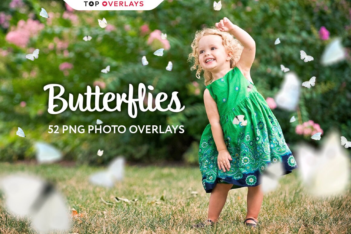 52 Butterflies Photo Overlays, Butterfly Png, Summer Overlays, Flying ...