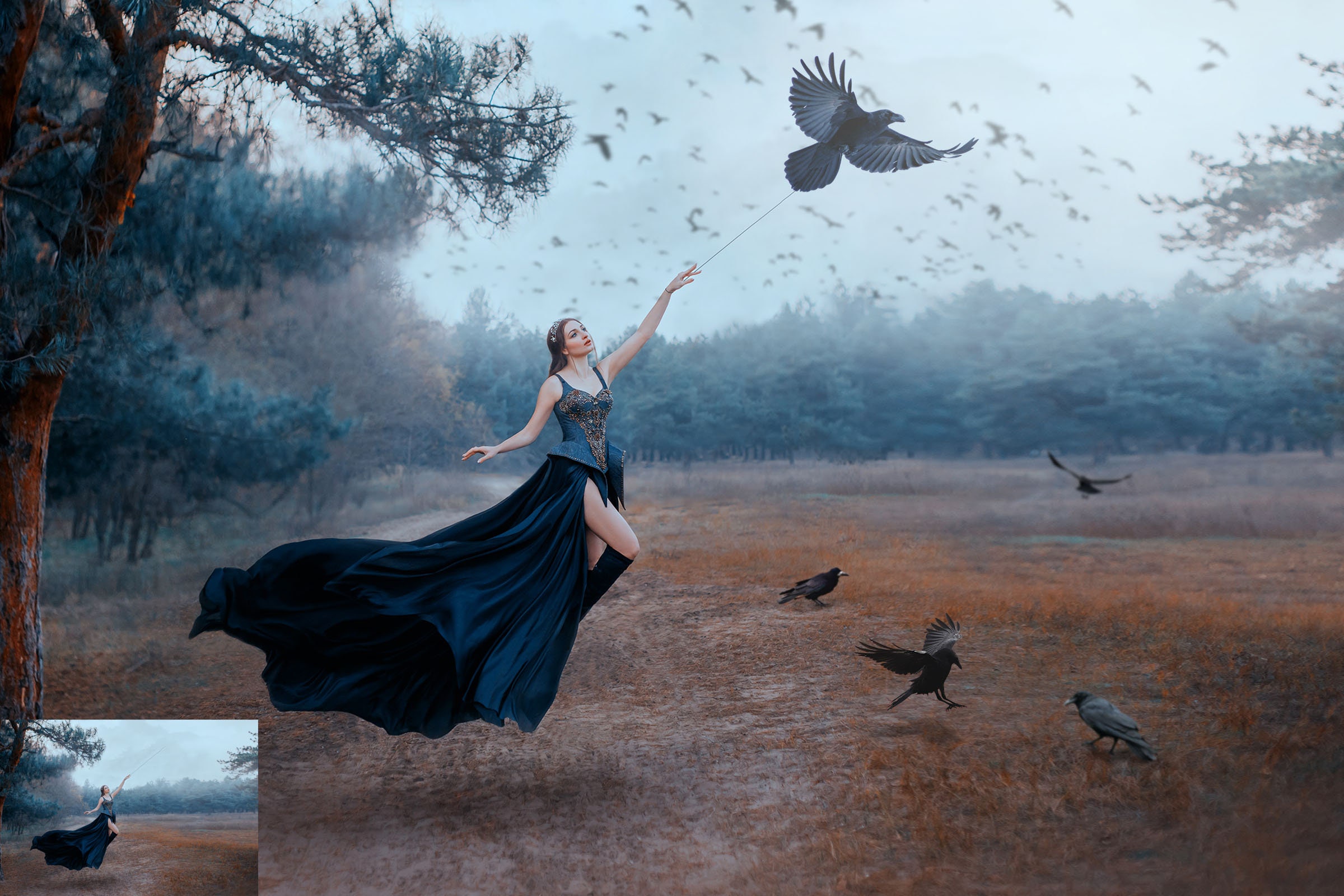 25 Ravens Photo Overlays, Crow Birds, Photoshop Overlay, Digital ...