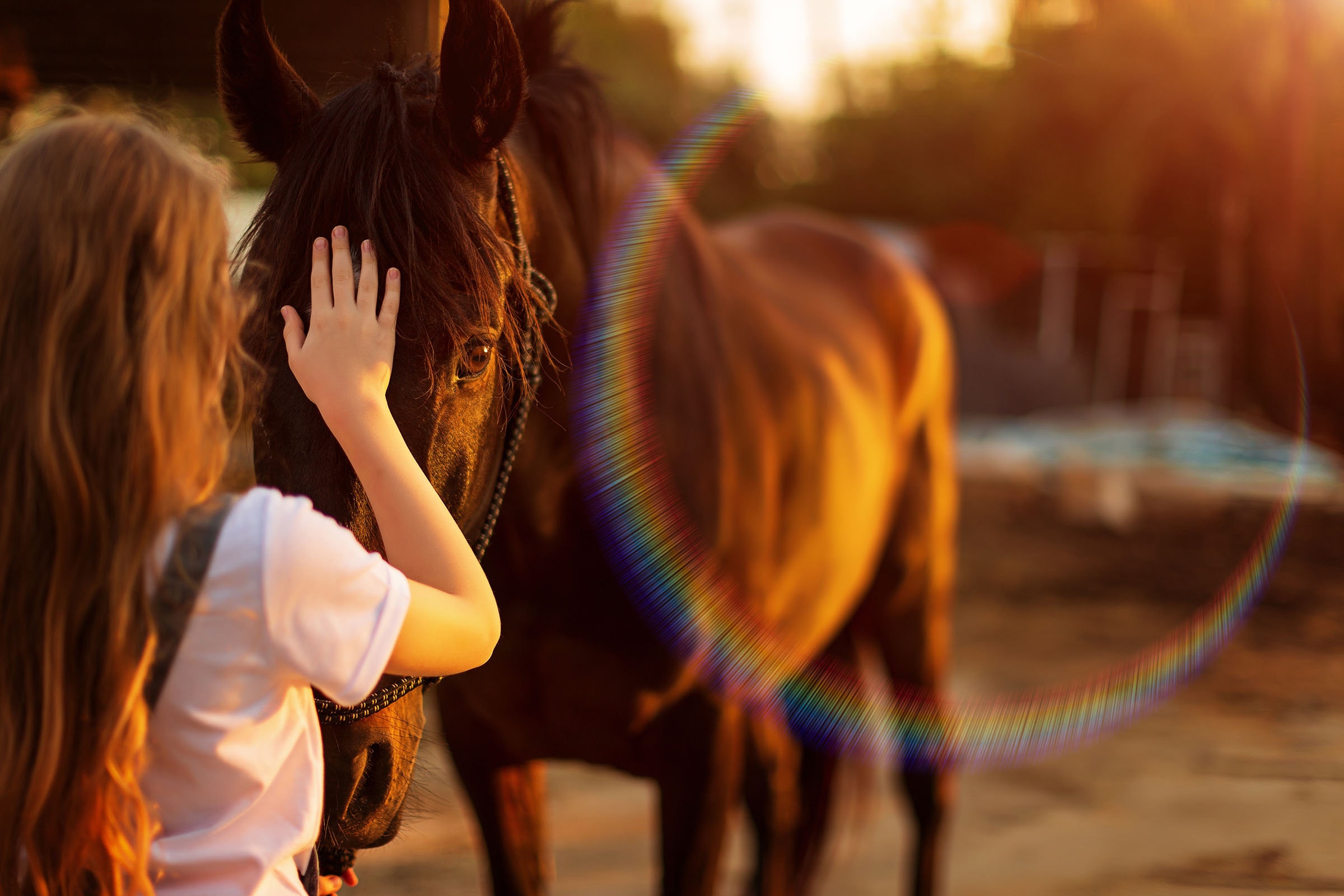 49 Light Hits Photo Overlays, Photo Overlay, Photoshop Overlay, Sun ...