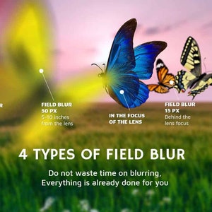 545+ Butterflies Photo Overlays, Butterfly Clipart, Butterfly Png ...