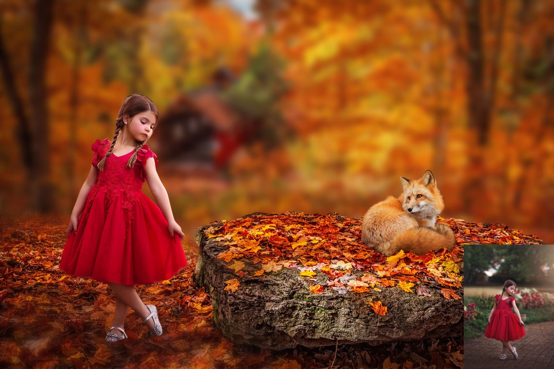 24 Fox Photo Overlays, Fox Photo Overlays, Animals, Digital Download ...