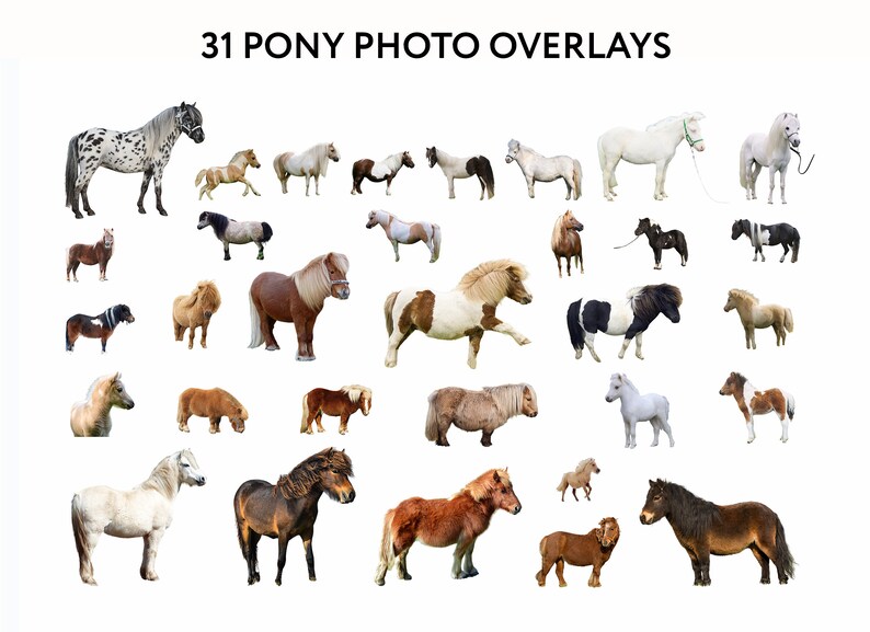 31 Pony Photo Overlays, Photoshop Overlay, Digital Overlay, Forest ...