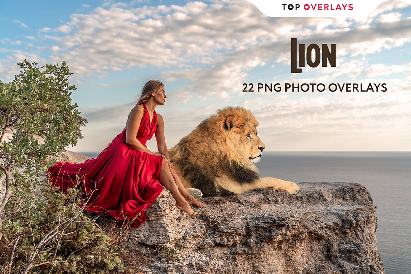 22 Lion Photo Overlays, Photoshop Overlay, Digital Overlay, Safari ...