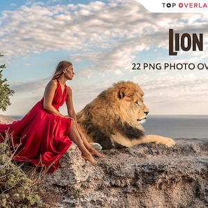 22 Lion Photo Overlays, Photoshop Overlay, Digital Overlay, Safari ...