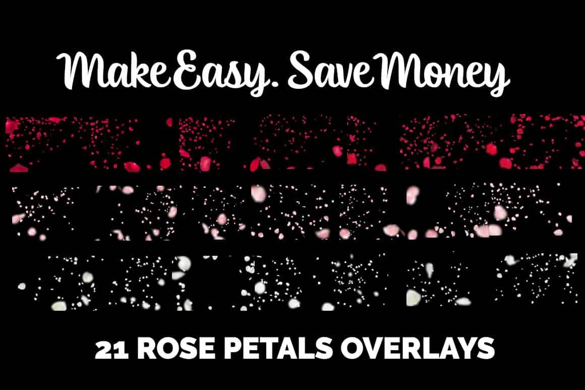 21 Rose Petals Photo Overlays, Red Rose, Pink Rose, Petal Overlays ...