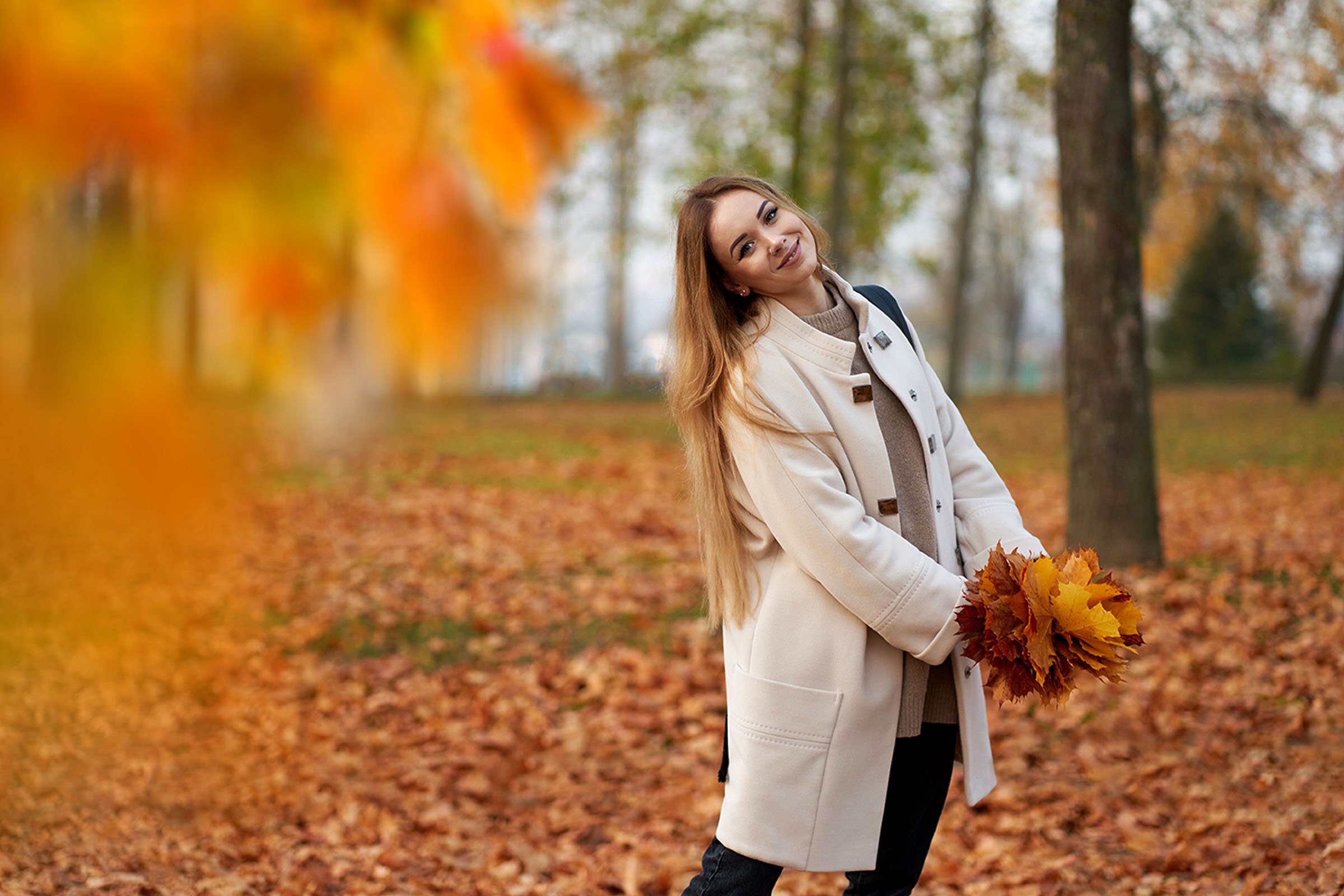 30 Autumn Branch Photo Overlays, Photoshop Overlay, Digital Overlay ...