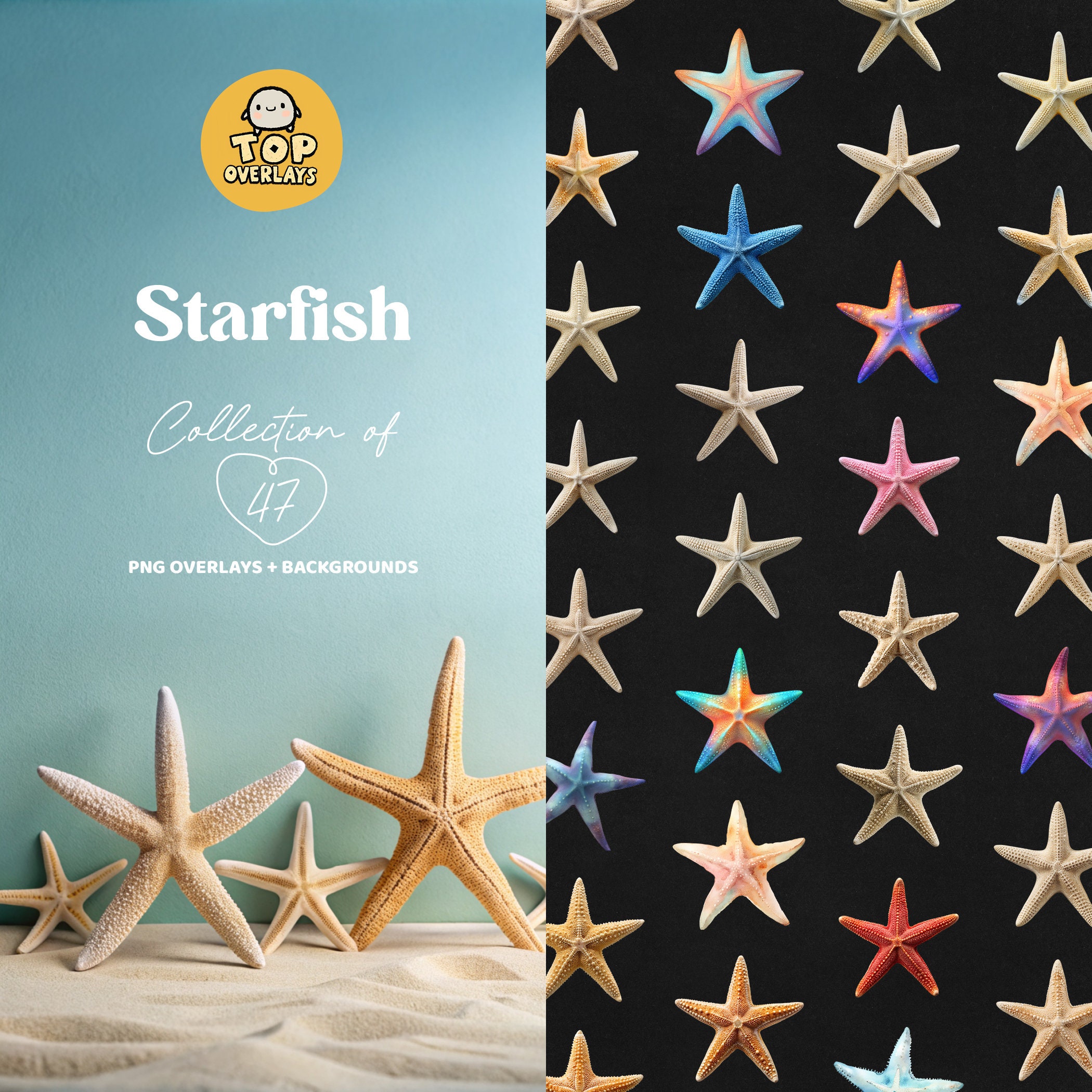 47 Starfish PNG Photo Overlays and Backgrounds Unique Marine Life ...