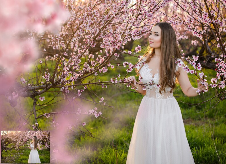 30 Sakura Photo Overlays, Photoshop Overlay, Digital Overlay, Flower ...