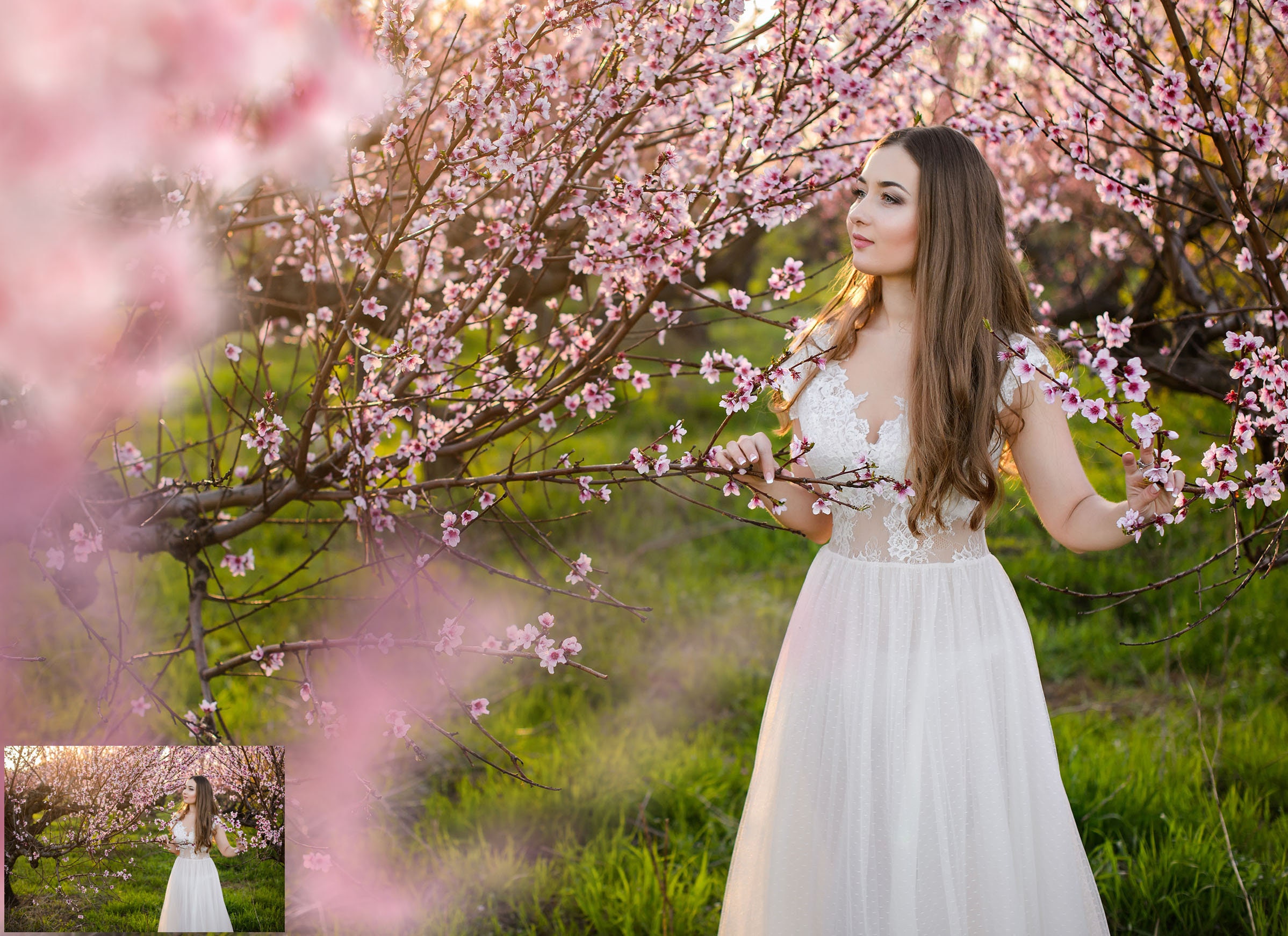 30 Sakura Photo Overlays, Photoshop Overlay, Digital Overlay, Flower ...