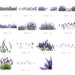 30 Lavender Photo Overlays, Flower Overlays Png, Photo Overlays ...