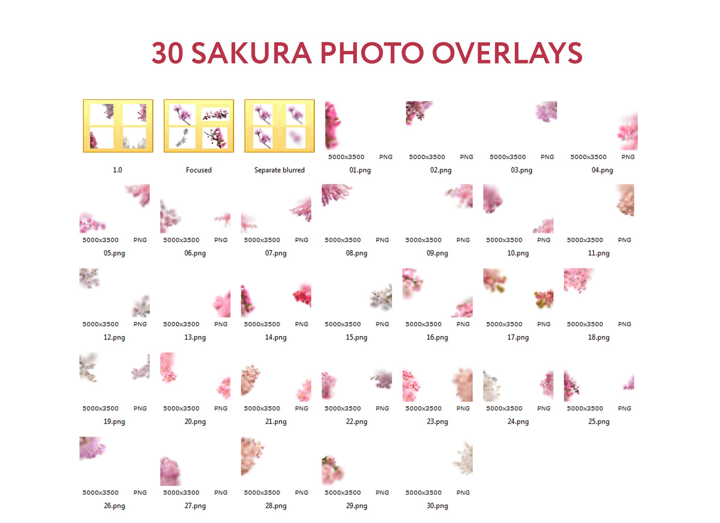 30 Sakura Photo Overlays, Photoshop Overlay, Digital Overlay, Flower ...