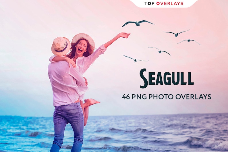 46 Seagull Photo Overlays Photoshop Overlays Ocean Overlays - Etsy