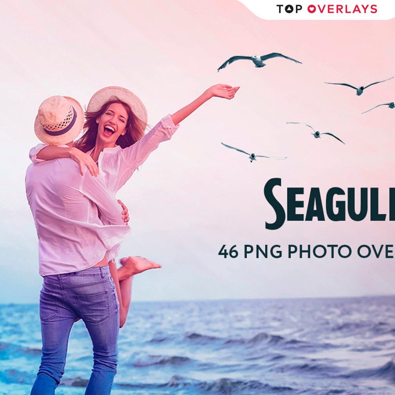 Seagull Photo - Etsy
