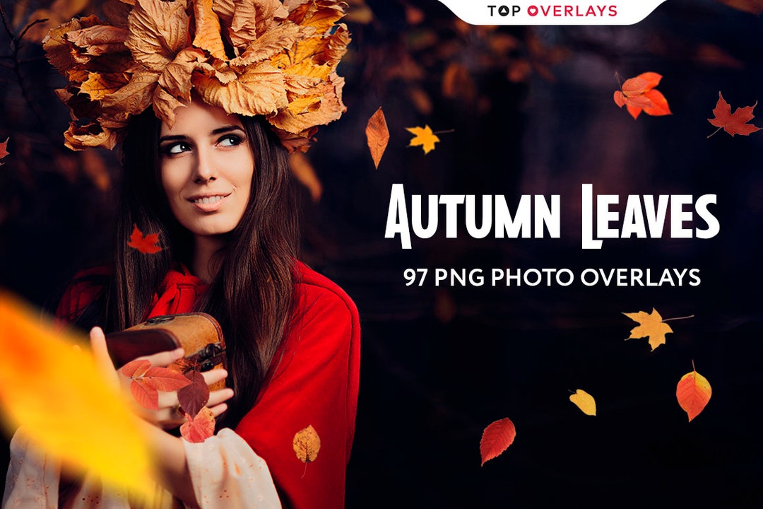 97 Autumn Leaves Photo Overlays, Overlays Photoshop, Oak Leaf Autumn ...