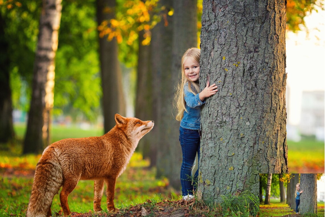 24 Fox Photo Overlays Fox Photo Overlays Animals Digital - Etsy