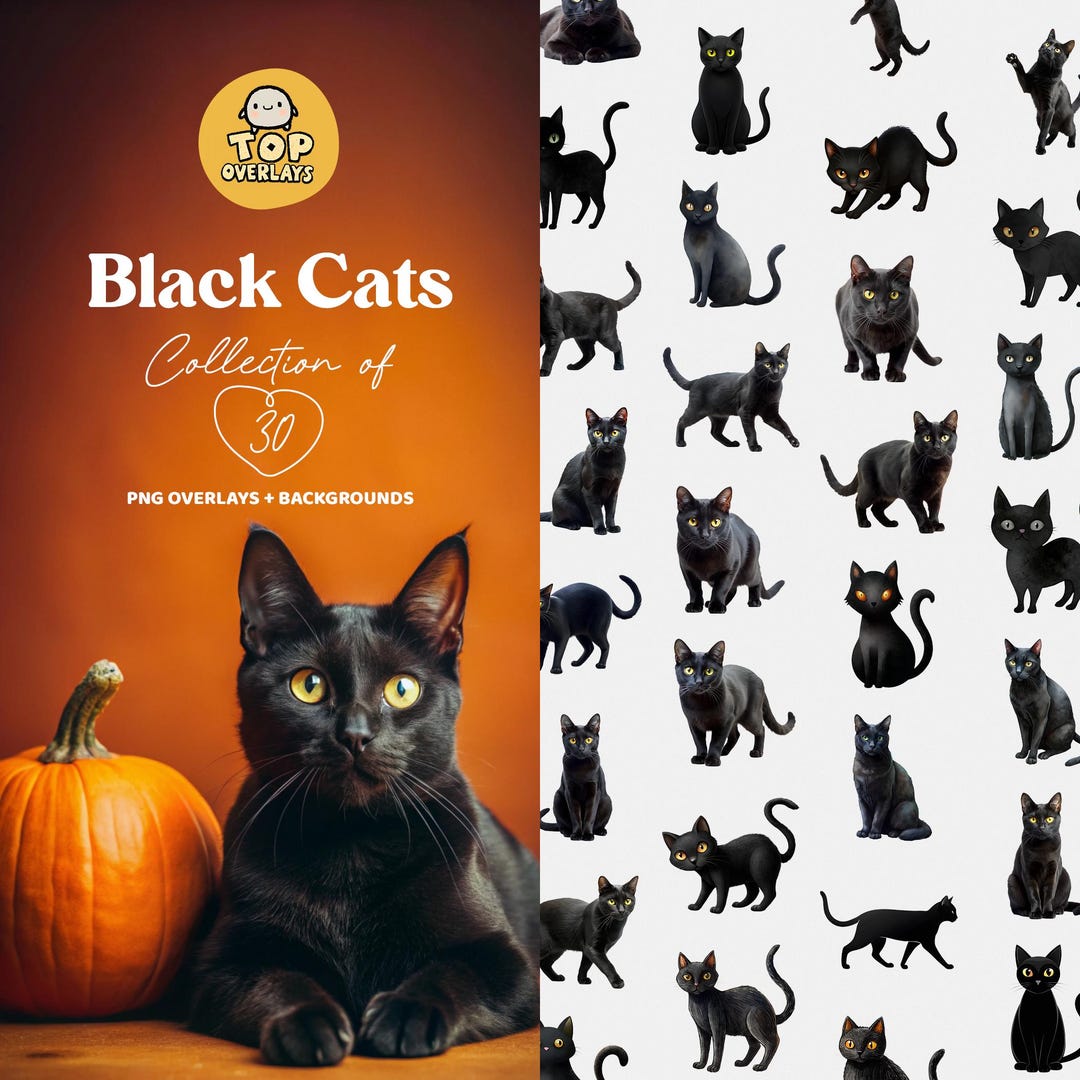 30 Black Cats Halloween PNG Photo Overlays – Spooky Cat Decorations for ...
