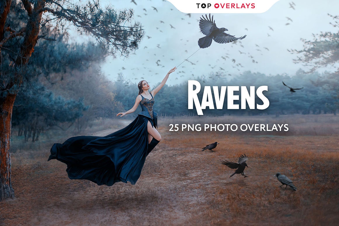 25 Ravens Photo Overlays, Crow Birds, Photoshop Overlay, Digital ...