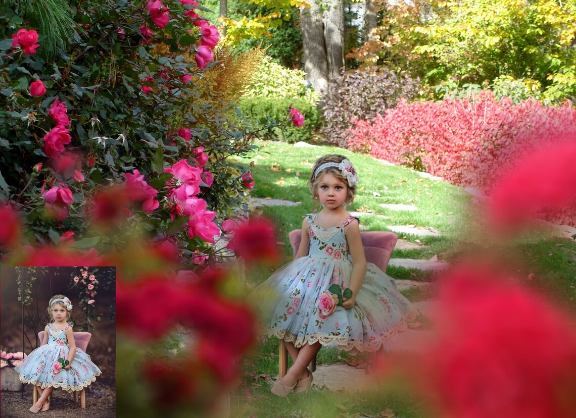 36 Rose Photo Overlays, Photoshop Overlay, Digital Overlay, Flower ...