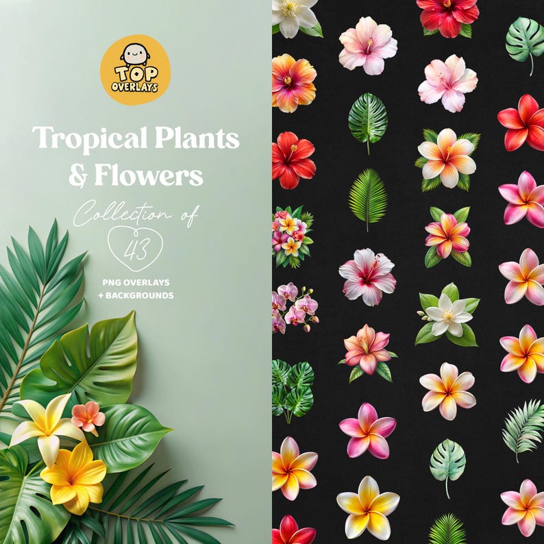 43 Tropical Plants and Flowers PNG Photo Overlays - Exotic and Vibrant ...