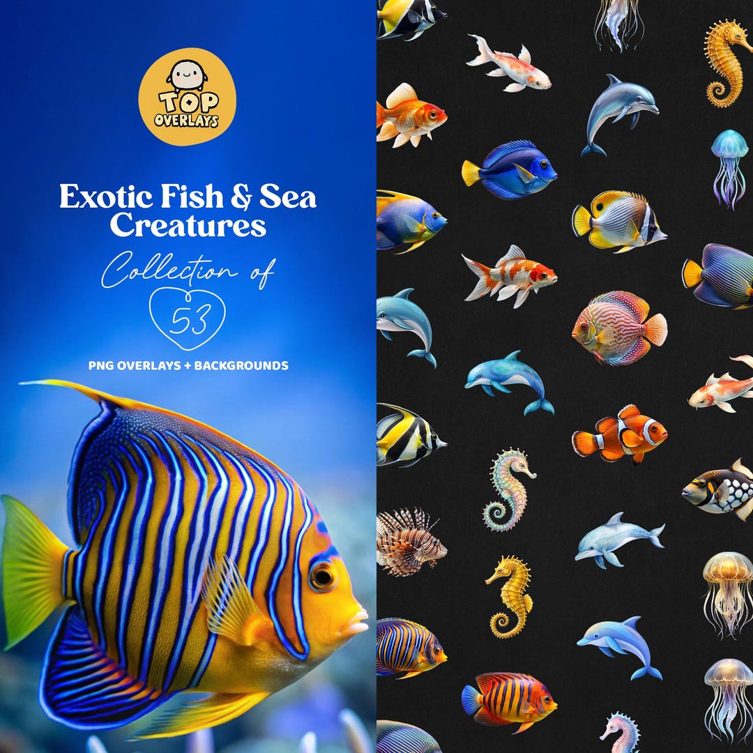 53 Exotic Fish & Sea Creatures PNG Photo Overlays - Vibrant and ...