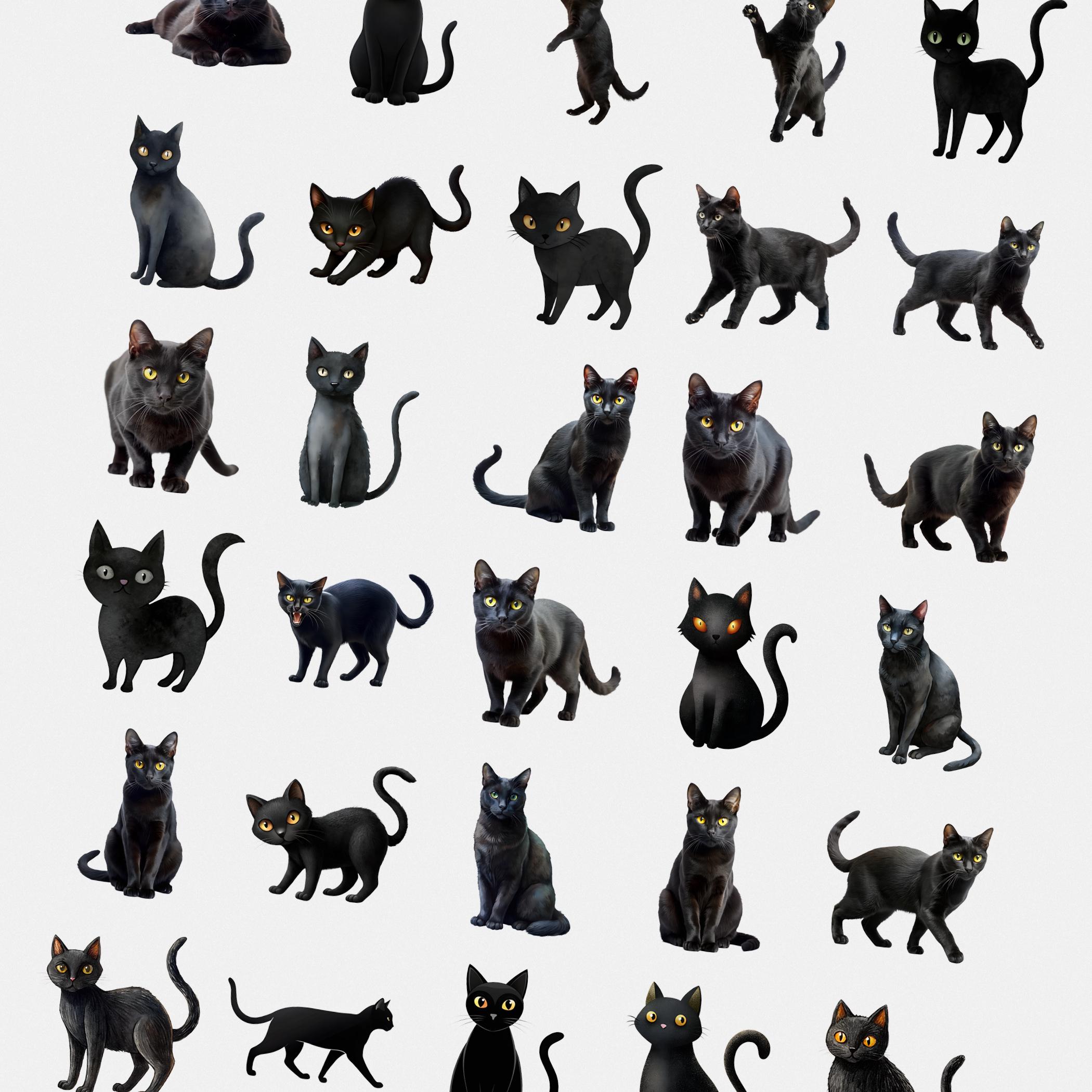30 Black Cats Halloween PNG Photo Overlays – Spooky Cat Decorations for ...