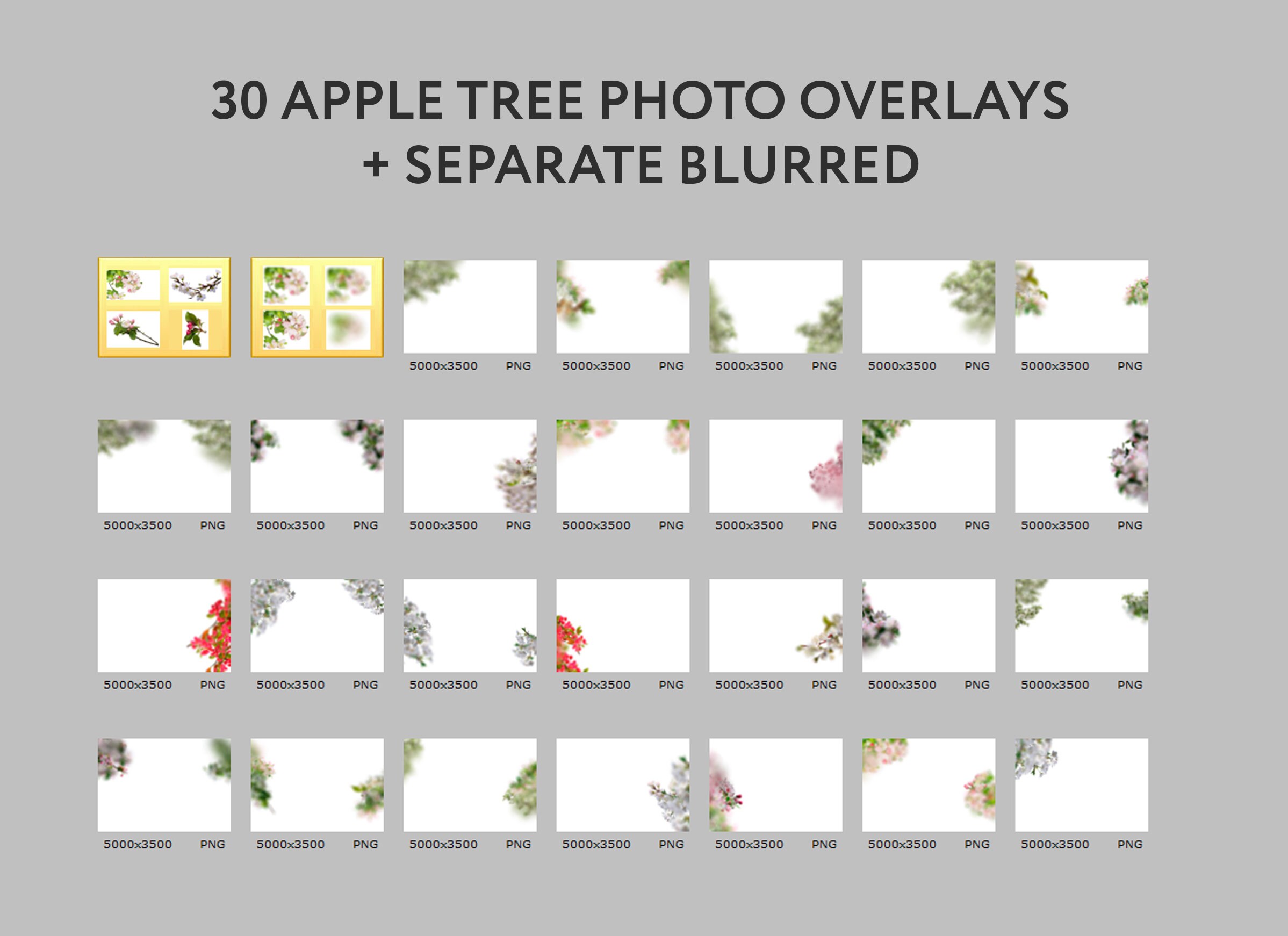 30 Apple Tree Branch Photo Overlays, Photoshop Overlay, Digital Overlay ...