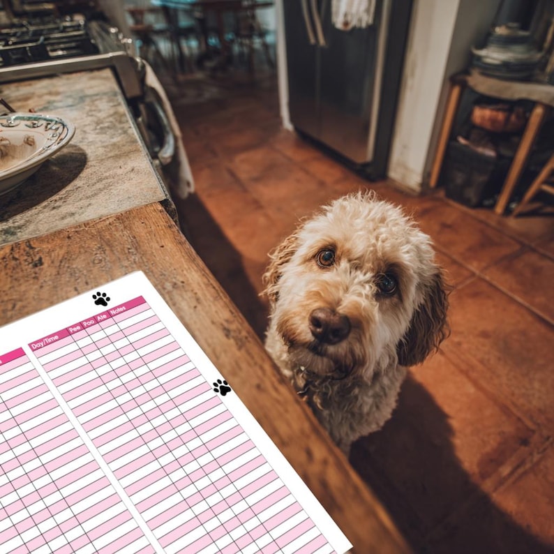 Dog Puppy Tracker Printable | Daily Care Log (PDF) Multi-pack Pee Poo ...