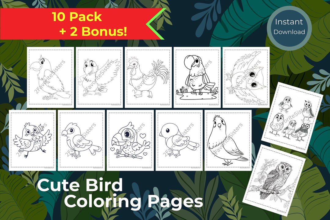 Bird Coloring Sheets Kids Bundle Adult Owl Digital Download Printable ...
