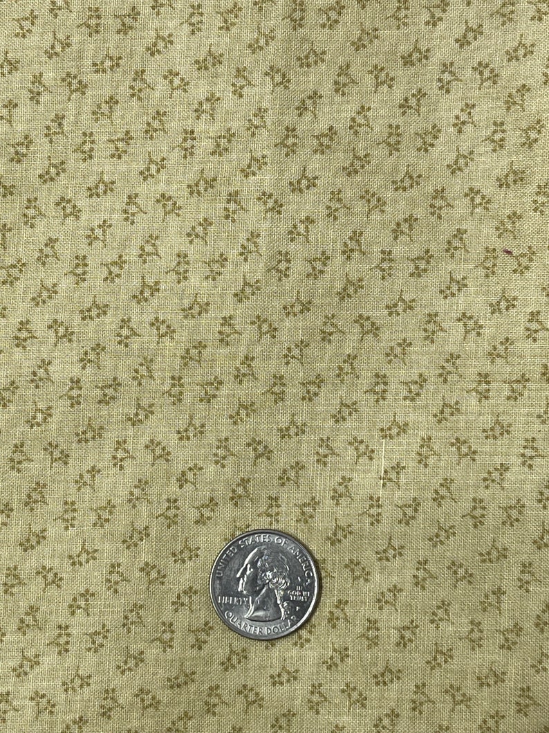 MODA Cotton Fabric-cinnamon Spice by Blackbirds Design-pattern 2701 WOF ...
