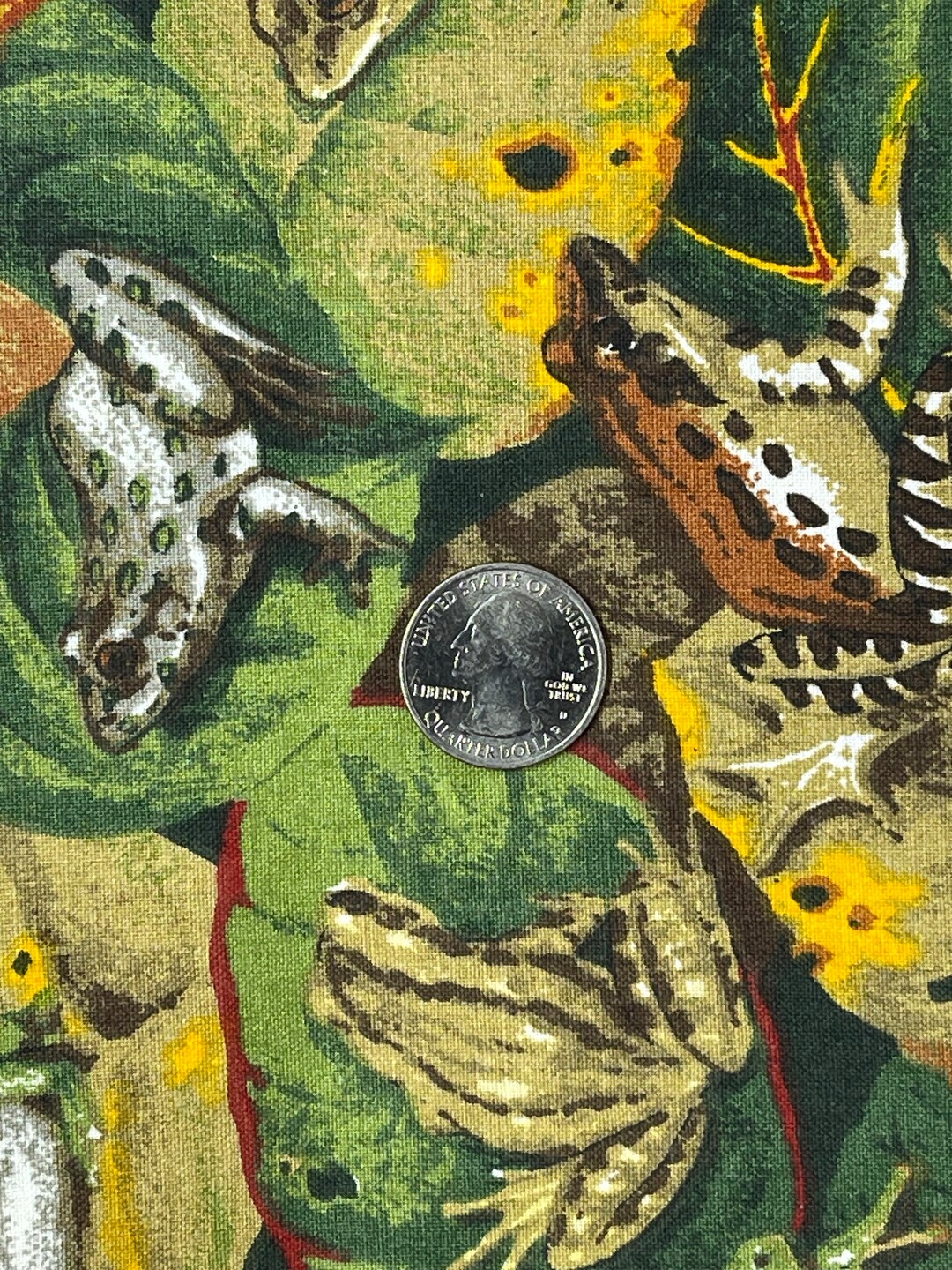 Daisy Kingdom "frogs Allover" High Quality Cotton-pattern 3592 -LOTS of ...