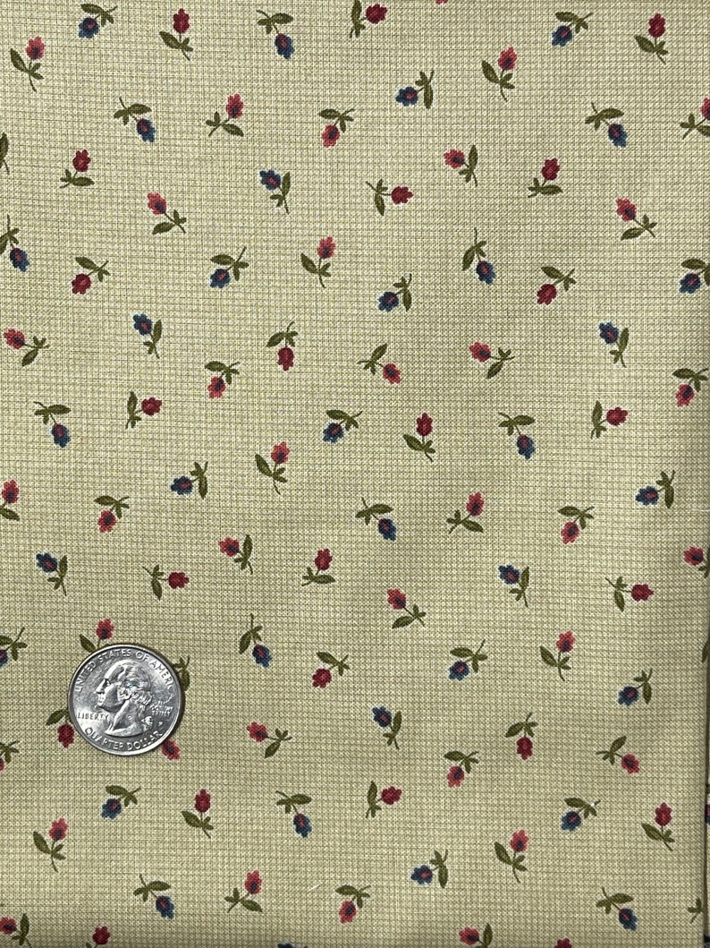Moda Cotton Fabric 'wiscasset' by Polly Minick and Lauri Sampson Floral ...