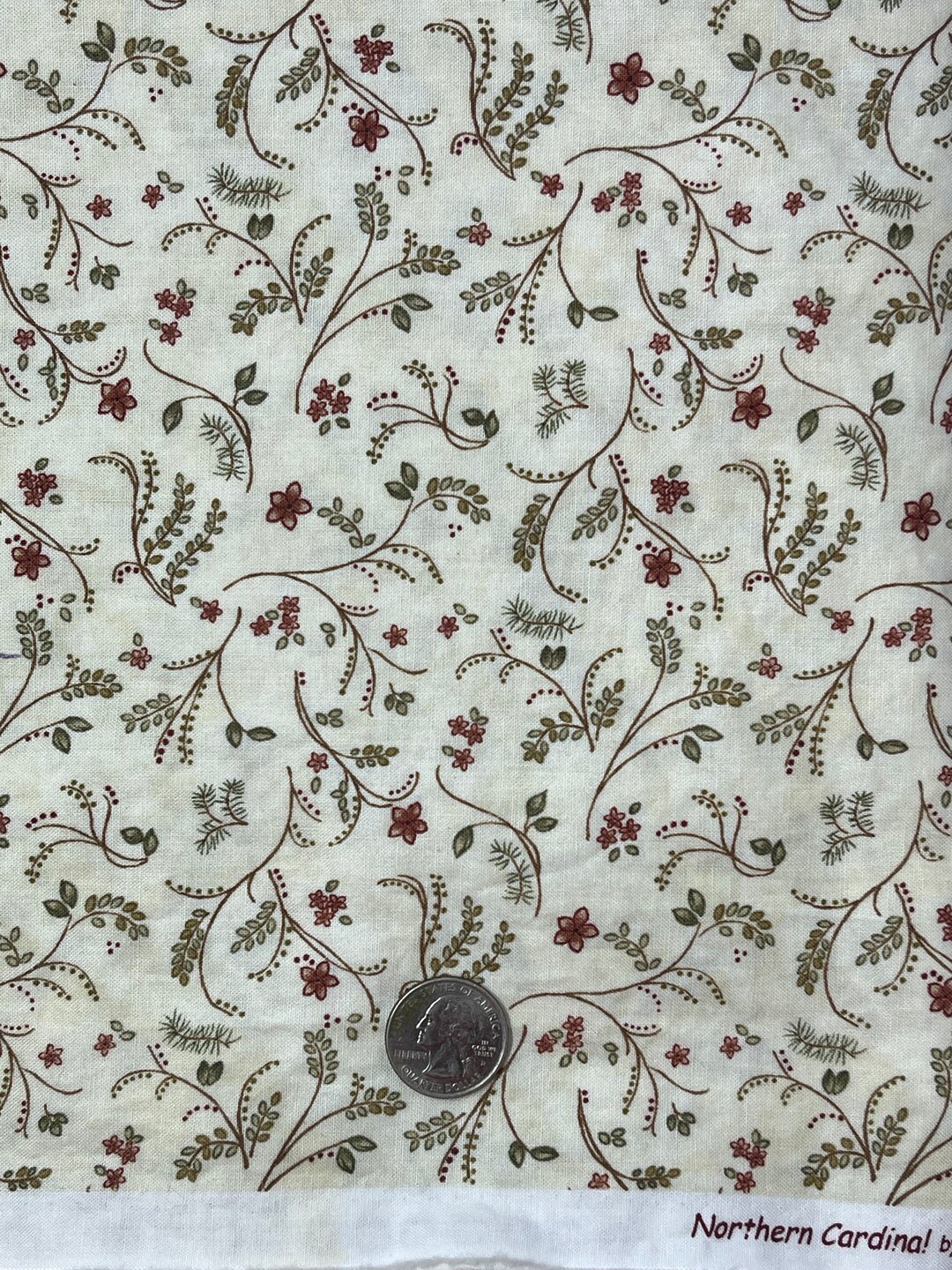 Northern Cardinal by Holley Taylor for MODA- Pattern 6422- Light Beige ...