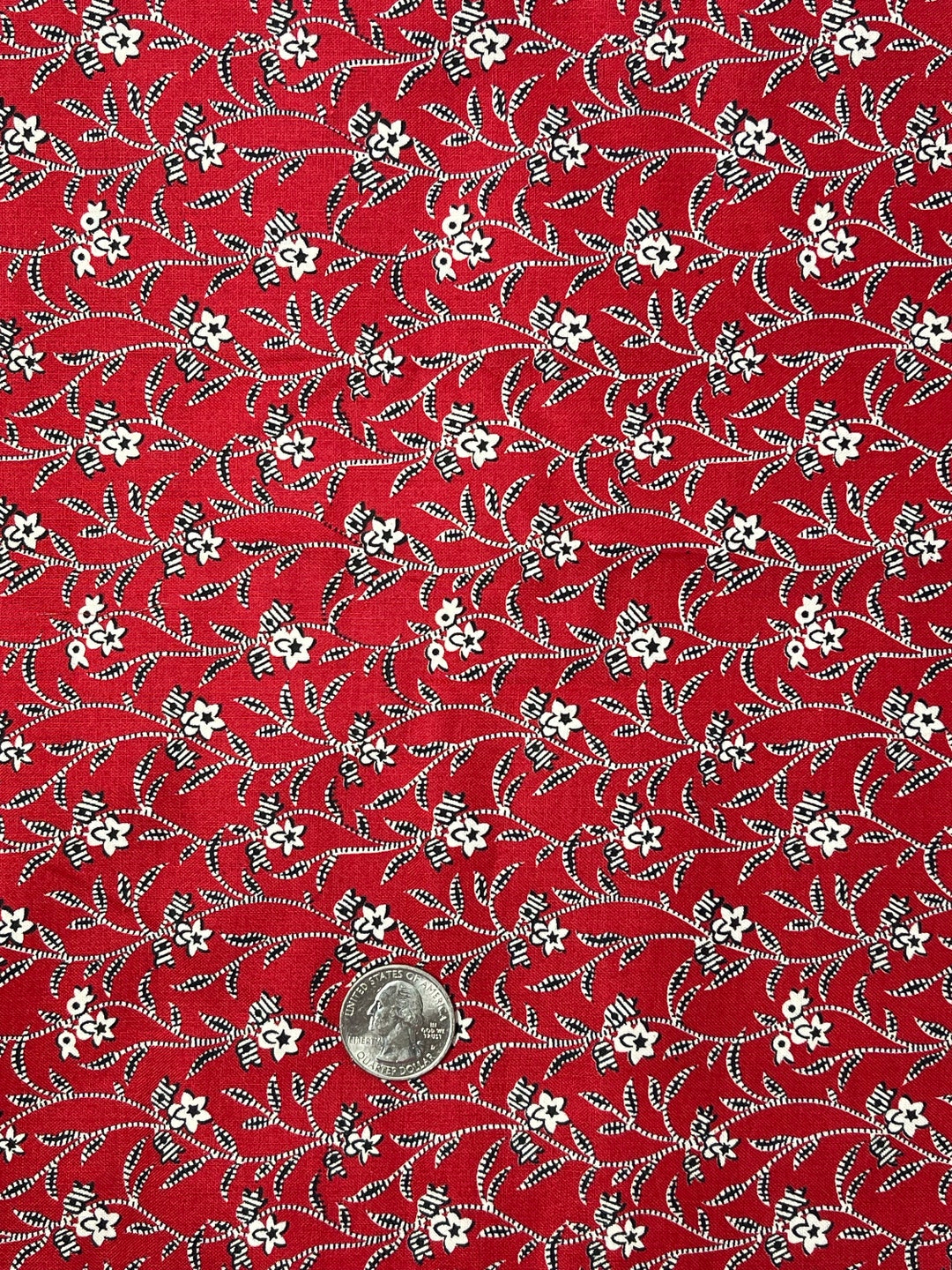 High Quality Cotton - "callie's Basics" Designed by Kaye England for ...