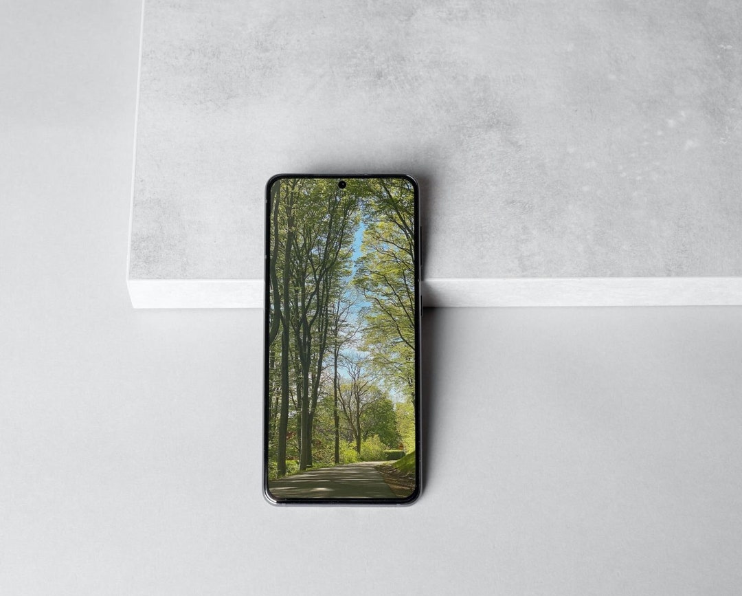 Renewing Green Forest Phone Wallpaper - Etsy