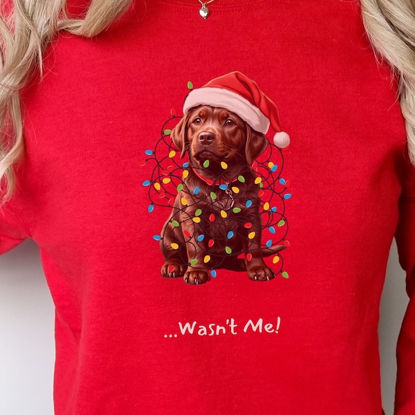 Funny Chocolate Lab Svg - Etsy
