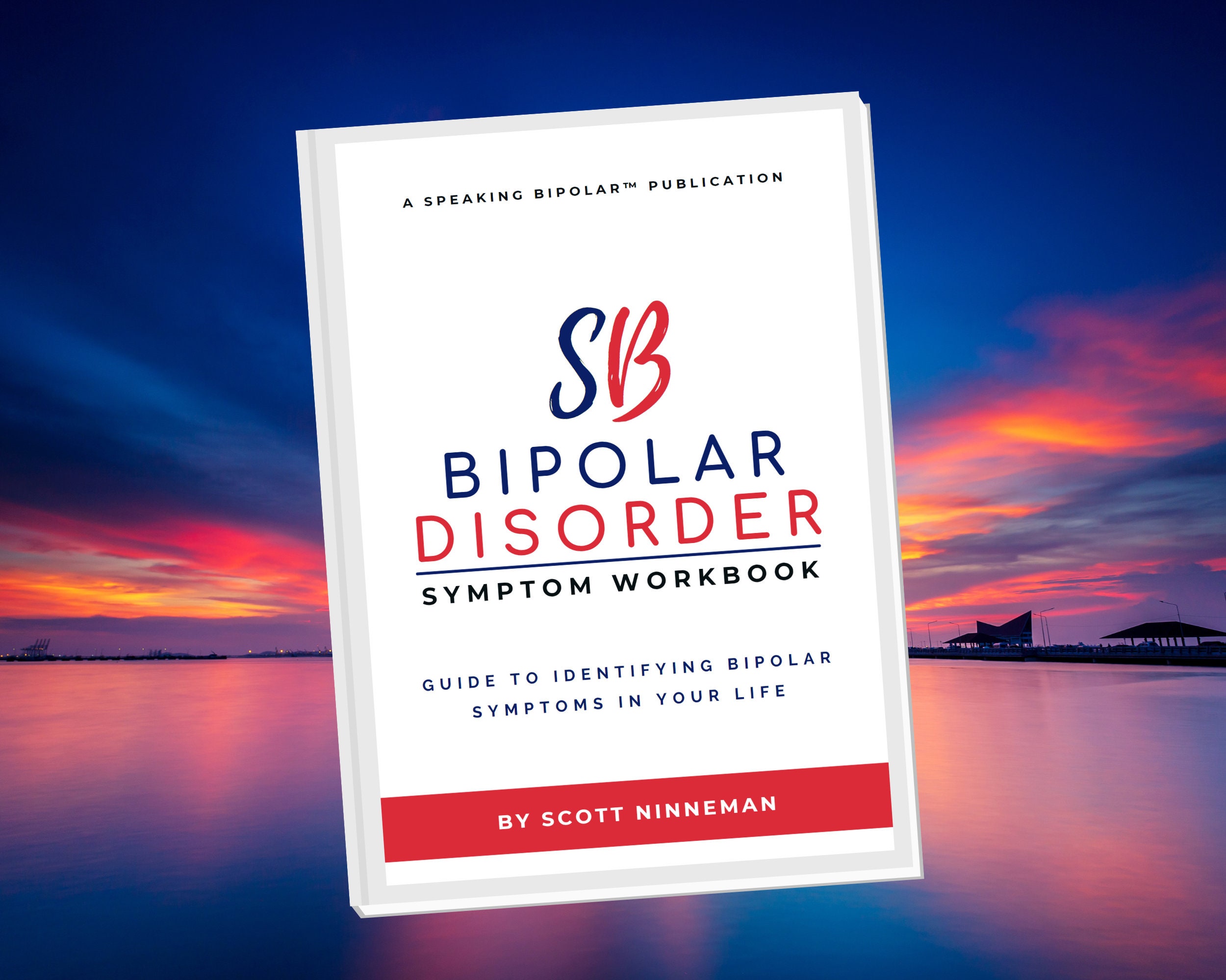 Bipolar Disorder Symptom Workbook - Etsy