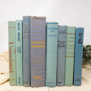 Light Blue Book Bundle set of 8 Book Shelf Decor, Unique Shelf Decor ...