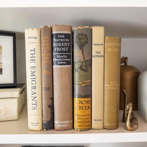 Neutral Vintage Book Bundle set of 6 Home Decor, Bookshelf Decor, Book ...