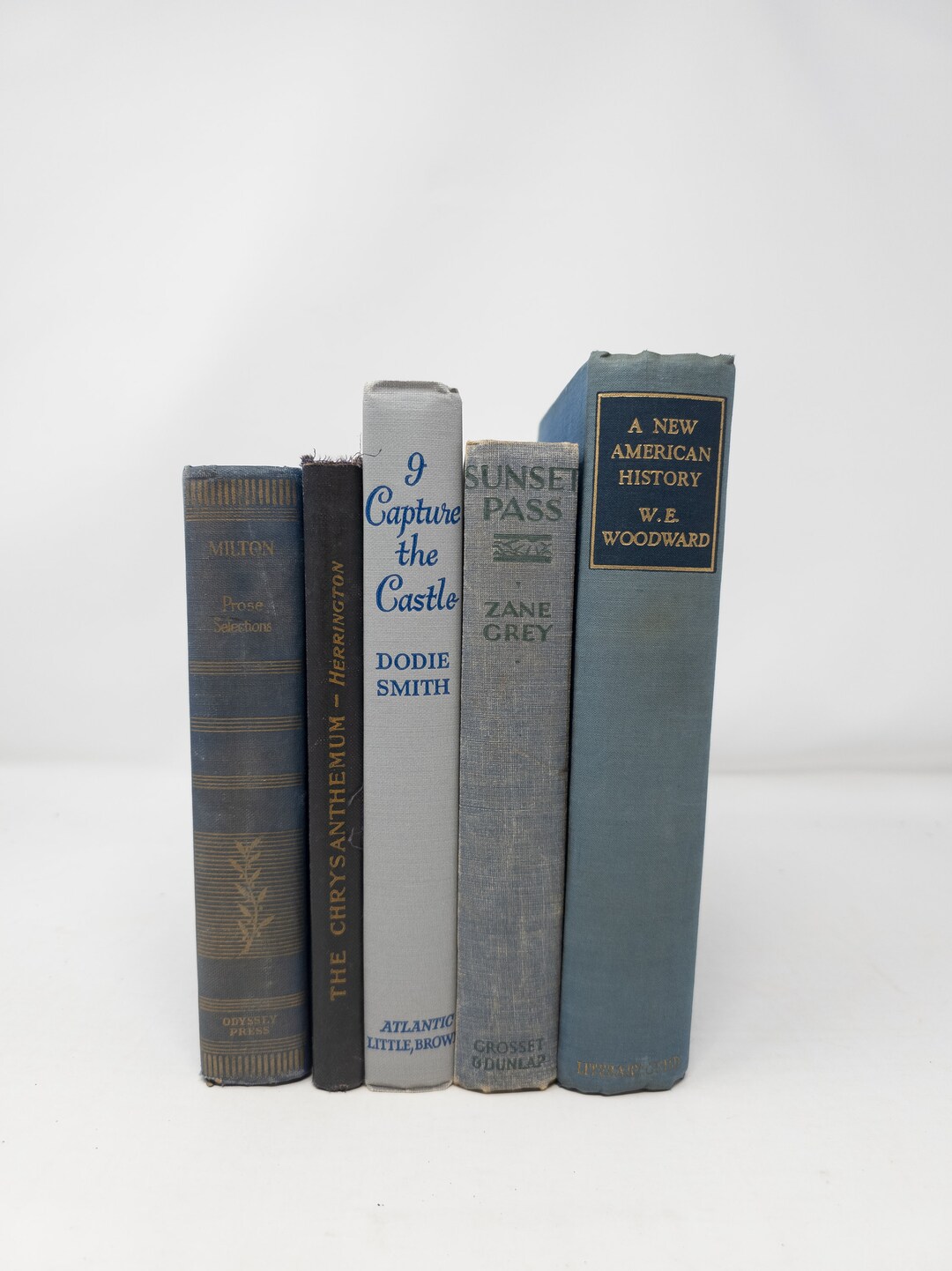 Light Blue Book Bundle set of 5 Book Shelf Decor, Unique Shelf Decor ...