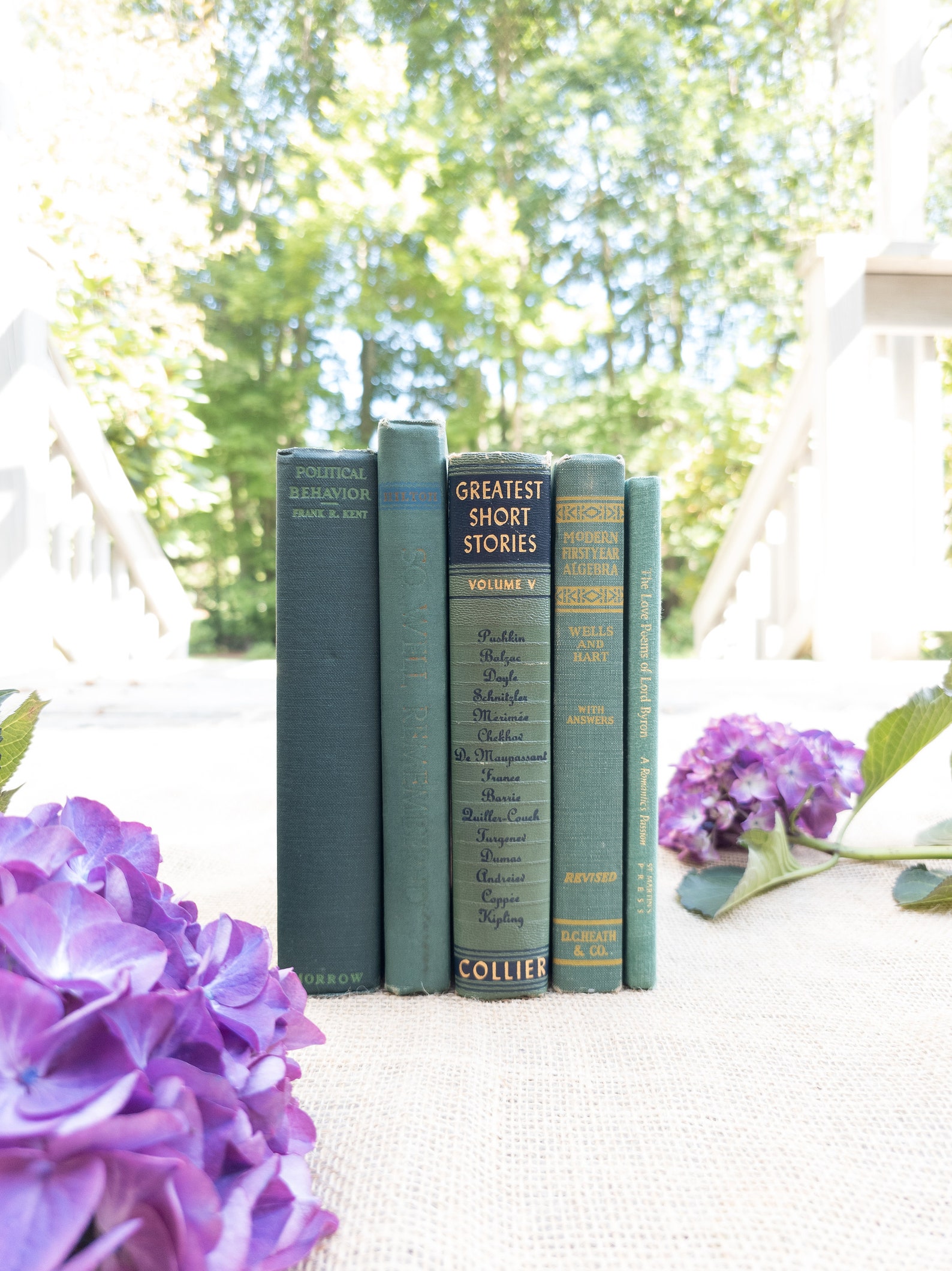 Vintage Green Book Bundle set of 5 Antique Vintage Books Green Home ...