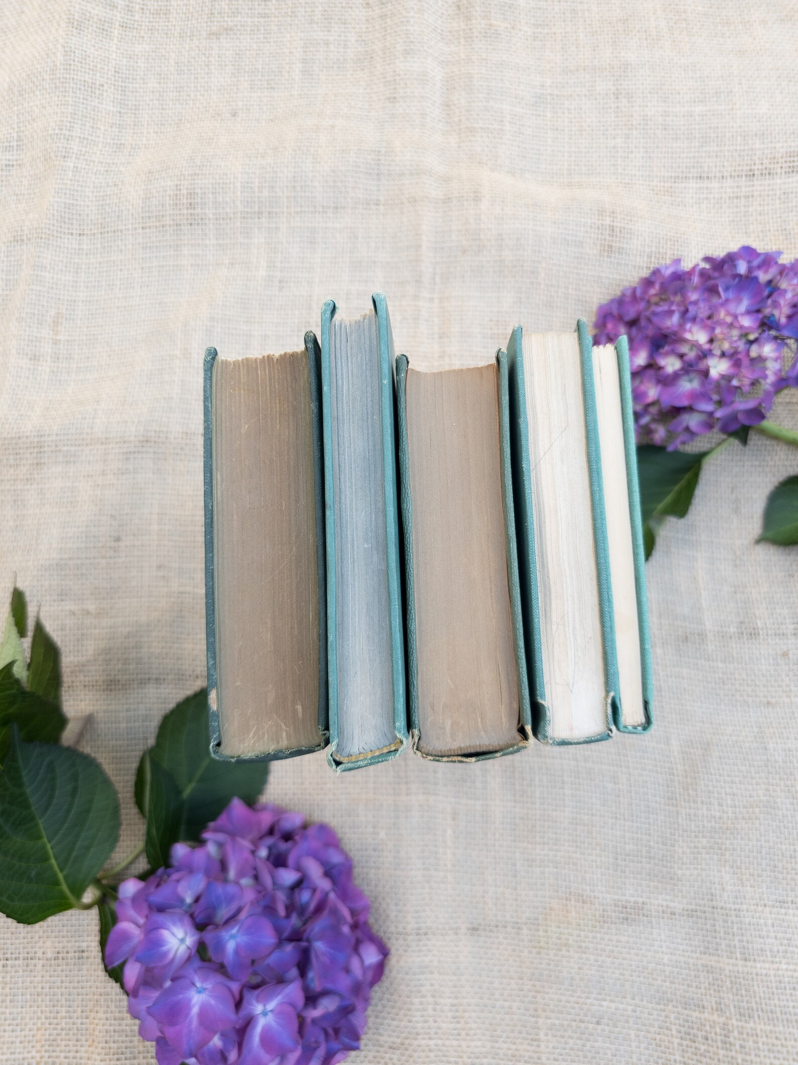Vintage Green Book Bundle set of 5 Antique Vintage Books Green Home ...