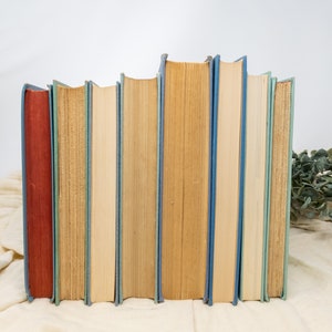 Light Blue Book Bundle set of 8 Book Shelf Decor, Unique Shelf Decor ...