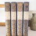 Neutral Vintage Book Bundle set of 9 Home Decor, Bookshelf Decor, Book ...