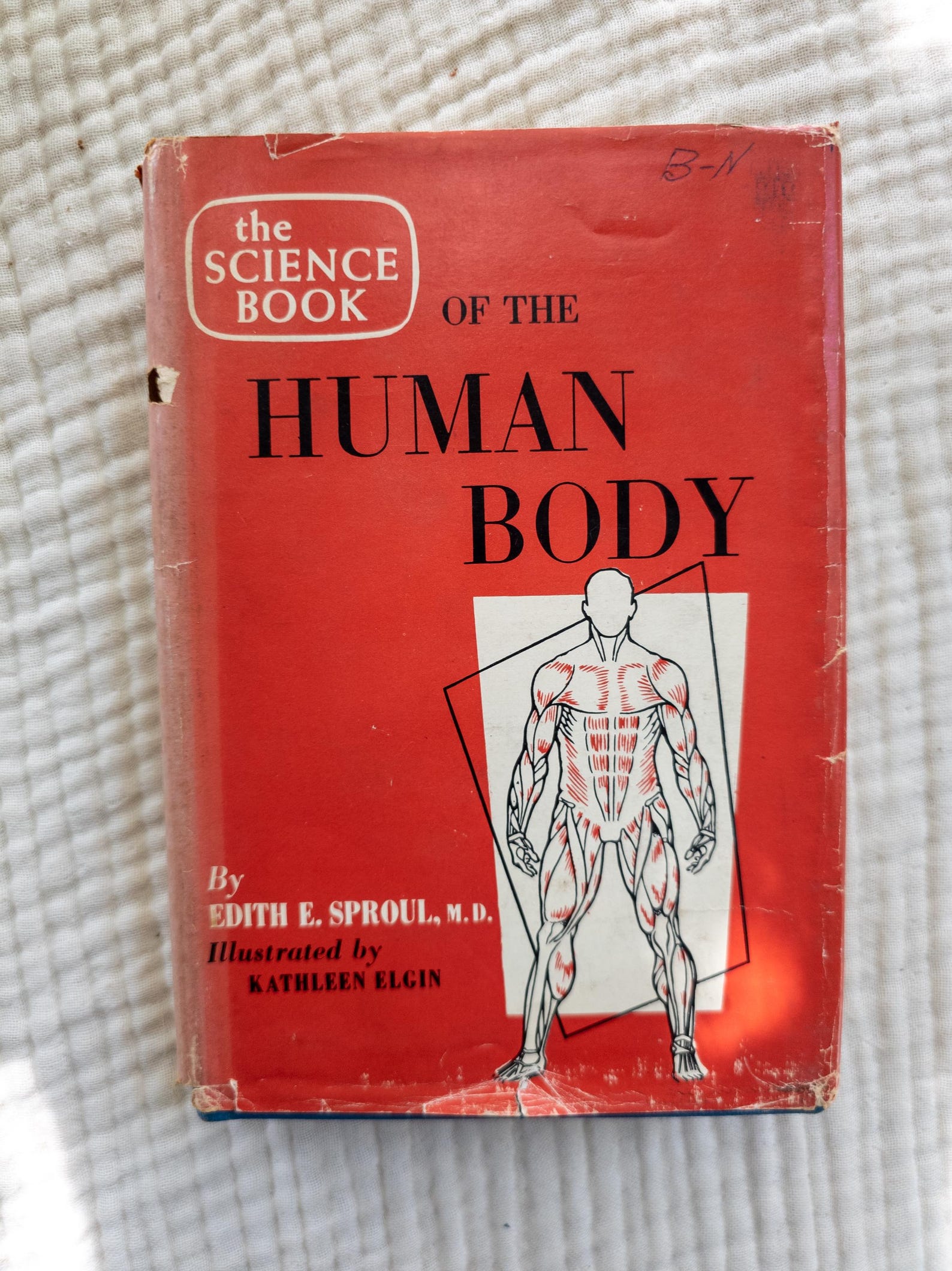 The Human Body 1955 | Vintage Science Book With Medical Illustrations ...