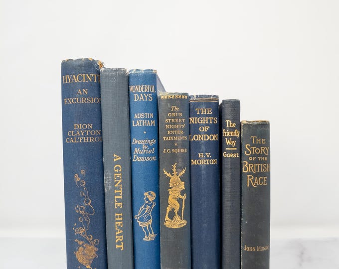 Small Blue Hardcover Books (set of 7) | Vintage Home Decor | Old Books ...