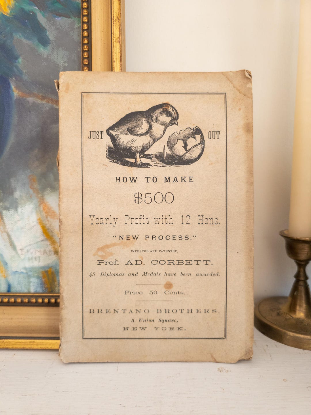 1800s Farm Guide - How to Make 500 Yearly Profit With 12 Hens by ...