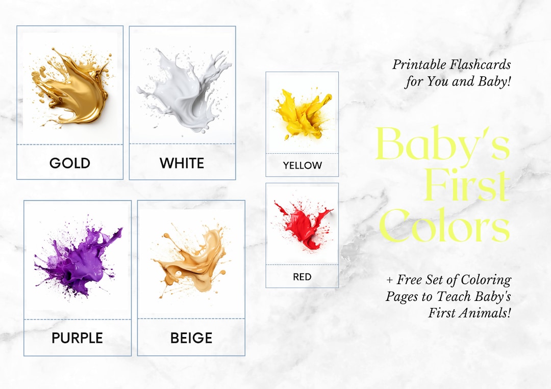 Printable Palette: A Baby's First Color Learning Guide - Etsy