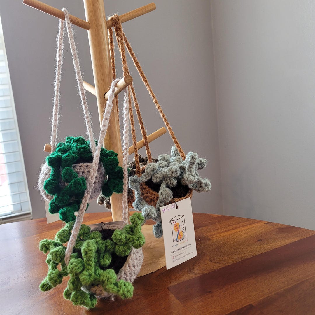 Crochet String of Pearls Hanging Plant: Car Mirror Charm - Etsy